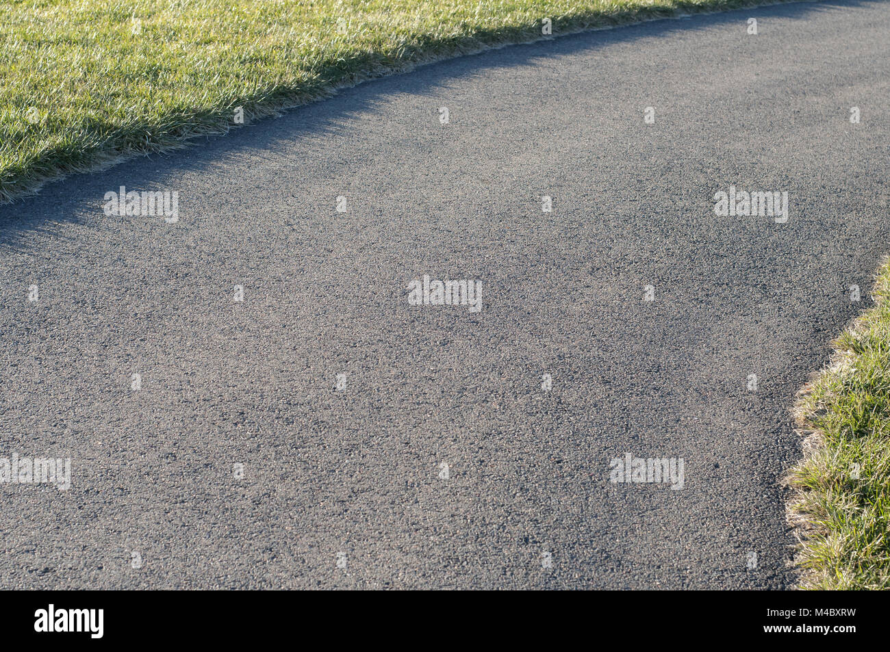 Asphalt alley in park Stock Photo - Alamy