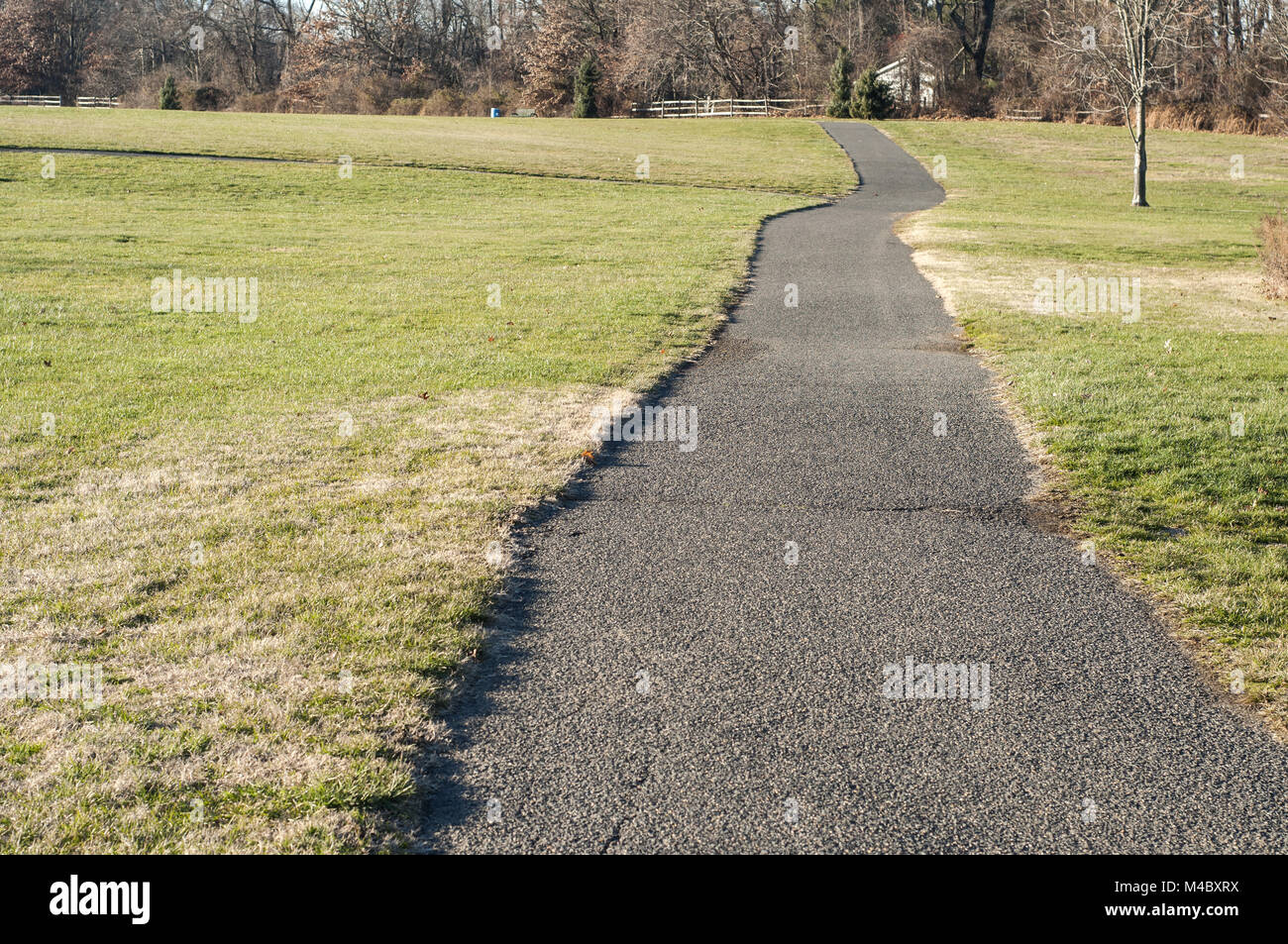 Asphalt alley in park Stock Photo - Alamy