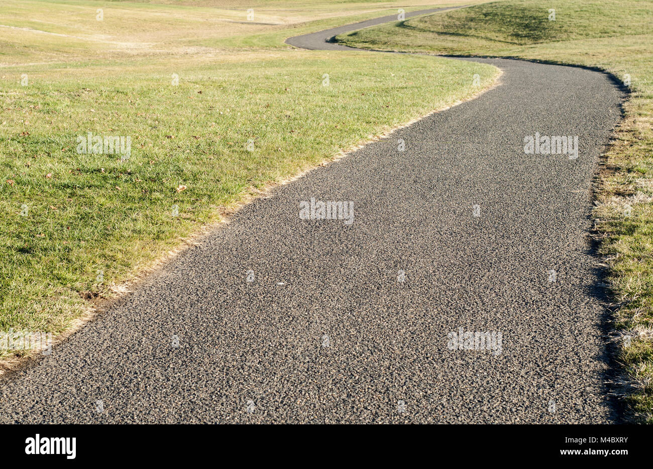 Asphalt alley in park Stock Photo - Alamy