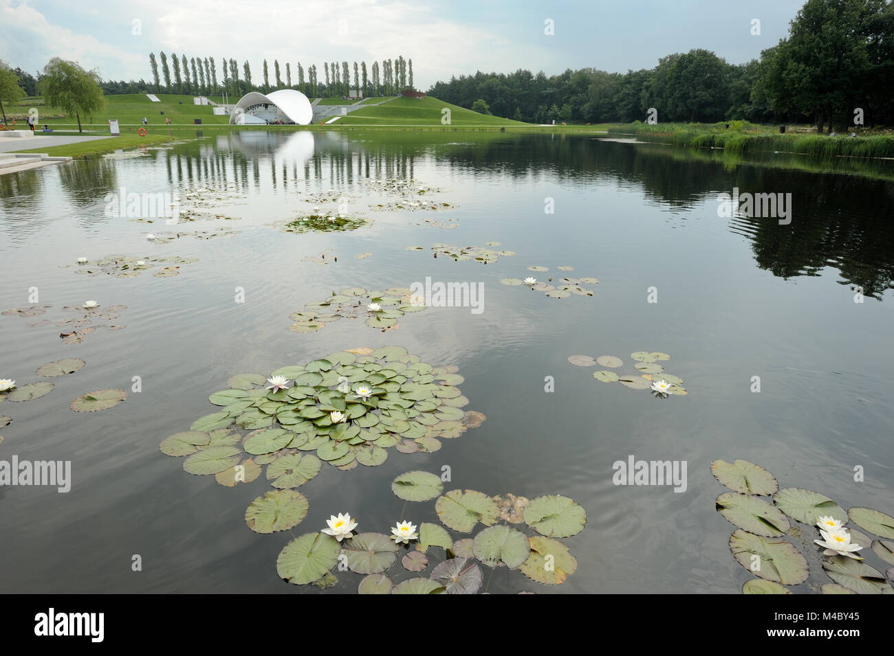 Pond in the park Stock Photo - Alamy