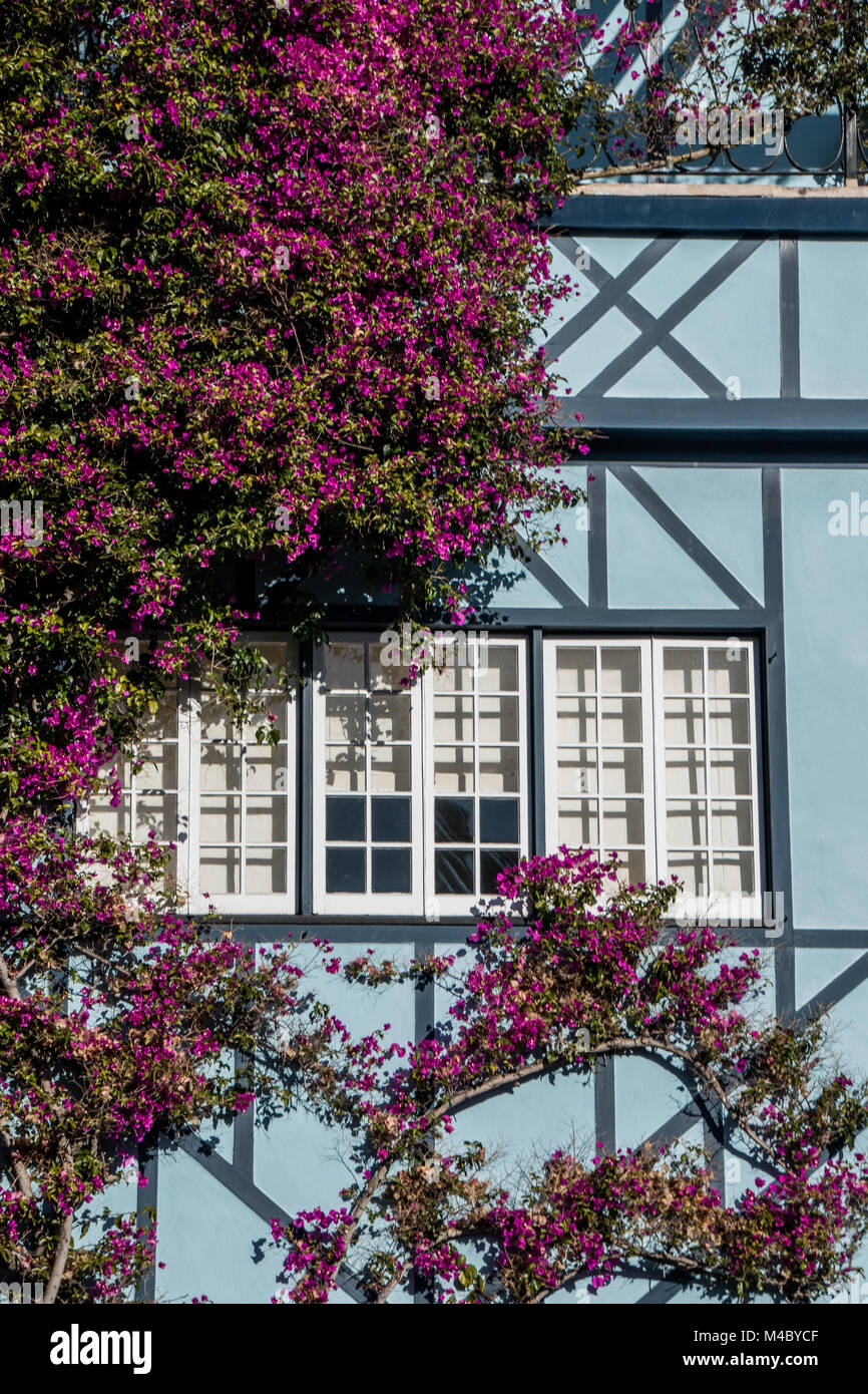 Purple flower ornamented window of a blue house Stock Photo - Alamy