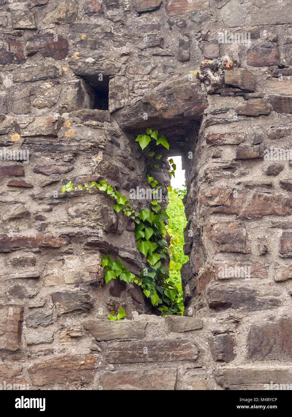 Old castle window hi-res stock photography and images - Alamy