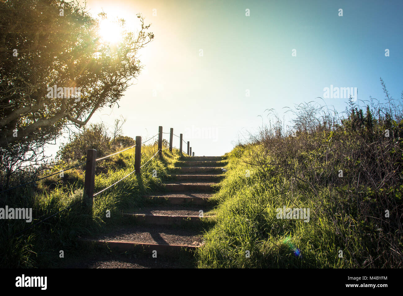 Lonely footpath leading up the stairs in the sunset Stock Photo - Alamy