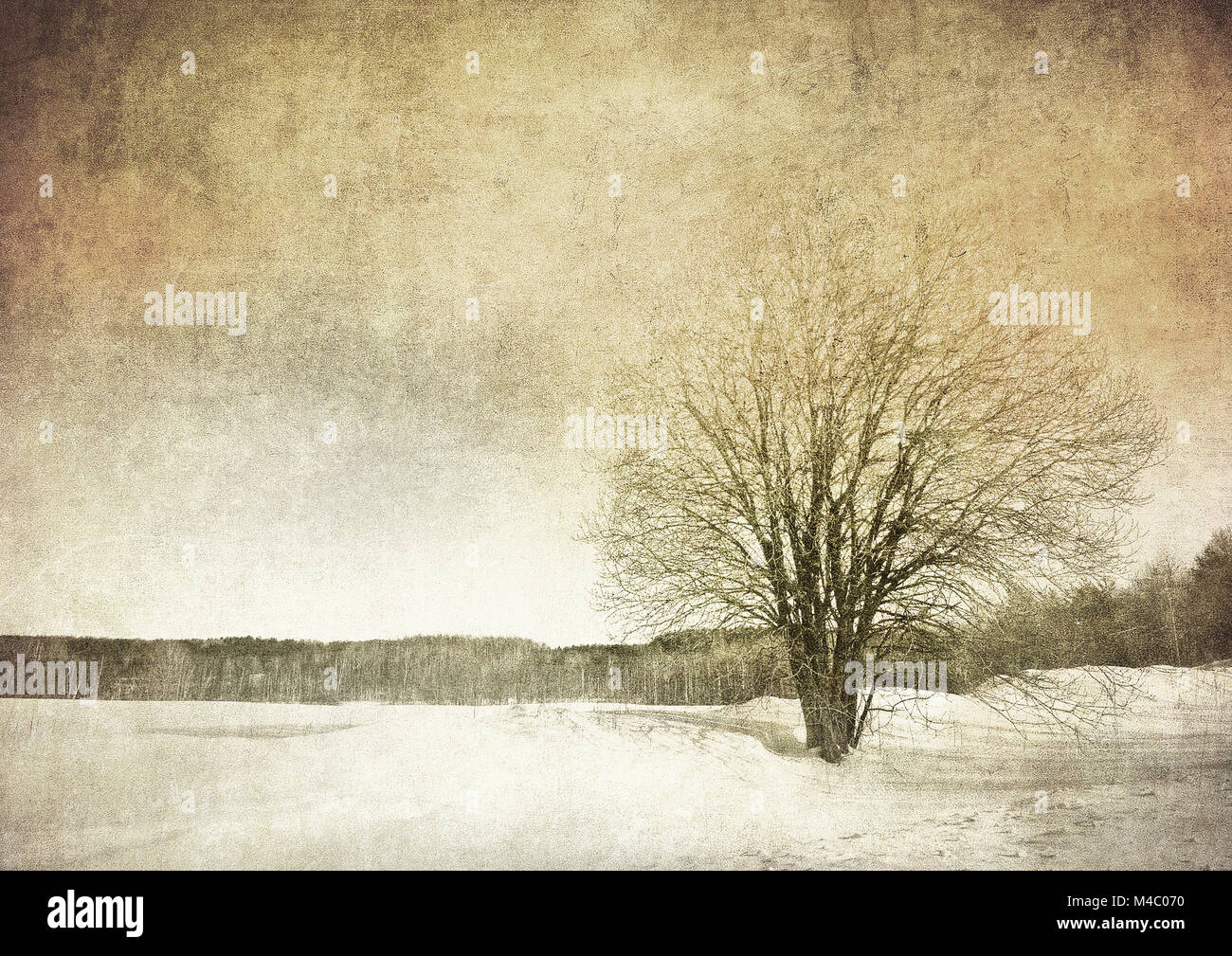 grunge image of a tree over grunge background Stock Photo - Alamy