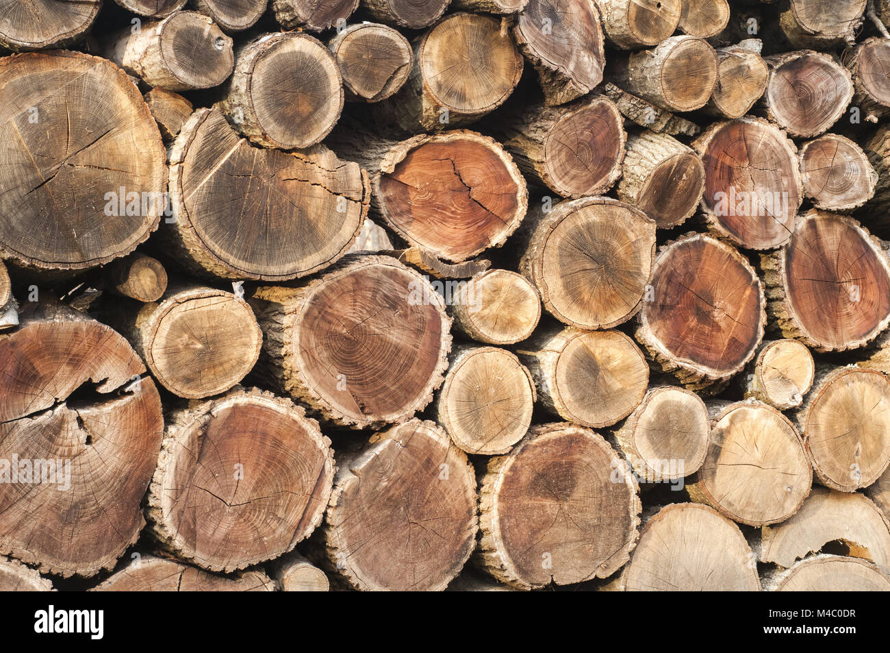 Cut dry oak firewood Stock Photo - Alamy