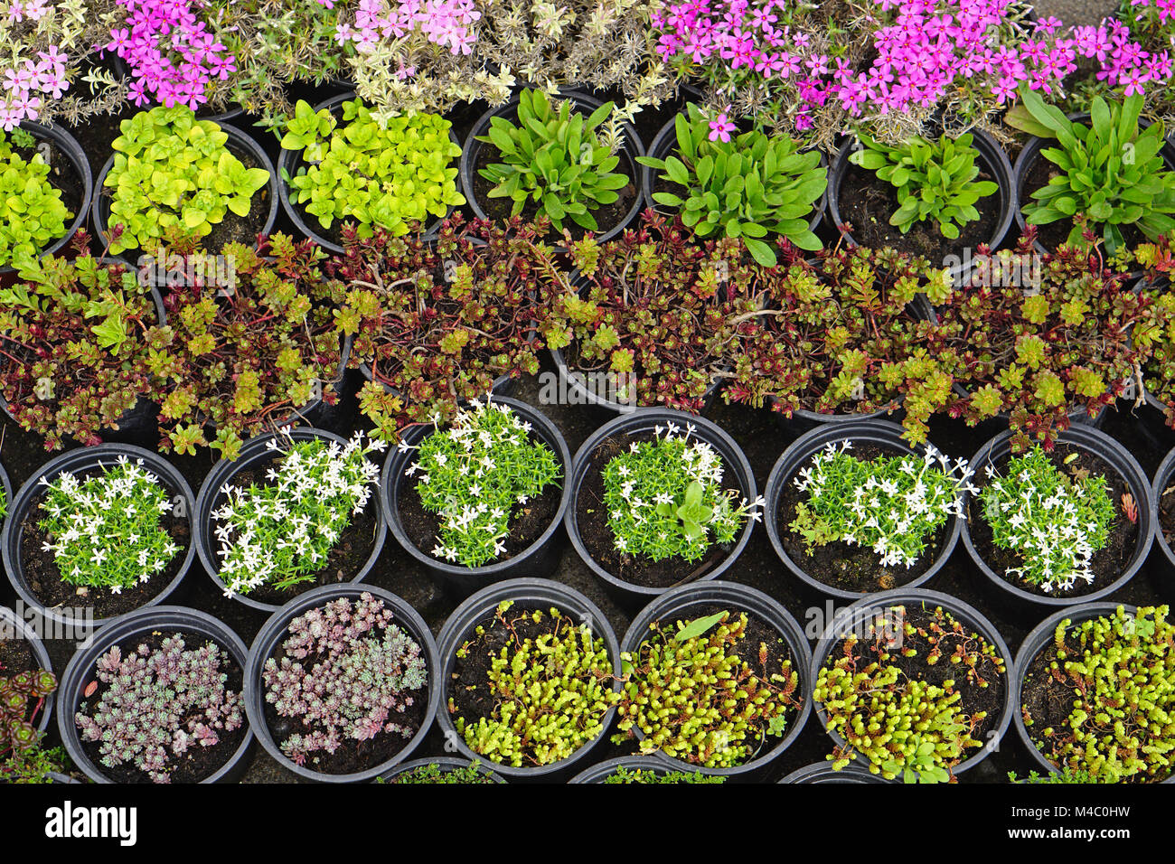 Decorative nursery hi-res stock photography and images - Alamy
