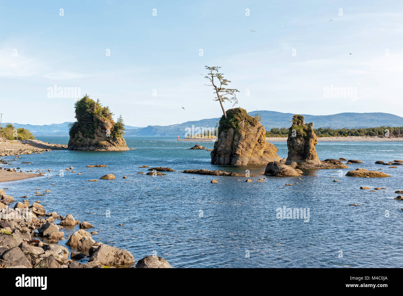 The rock stack outcroppings on the Oregon coast Stock Photo - Alamy