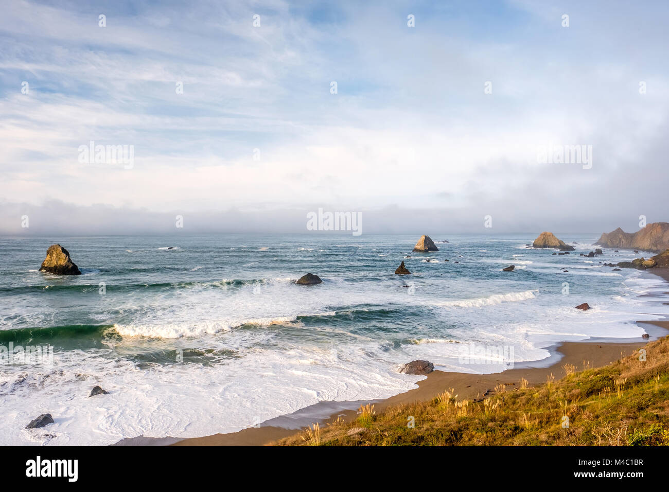 USA Pacific coast landscape, California Stock Photo - Alamy