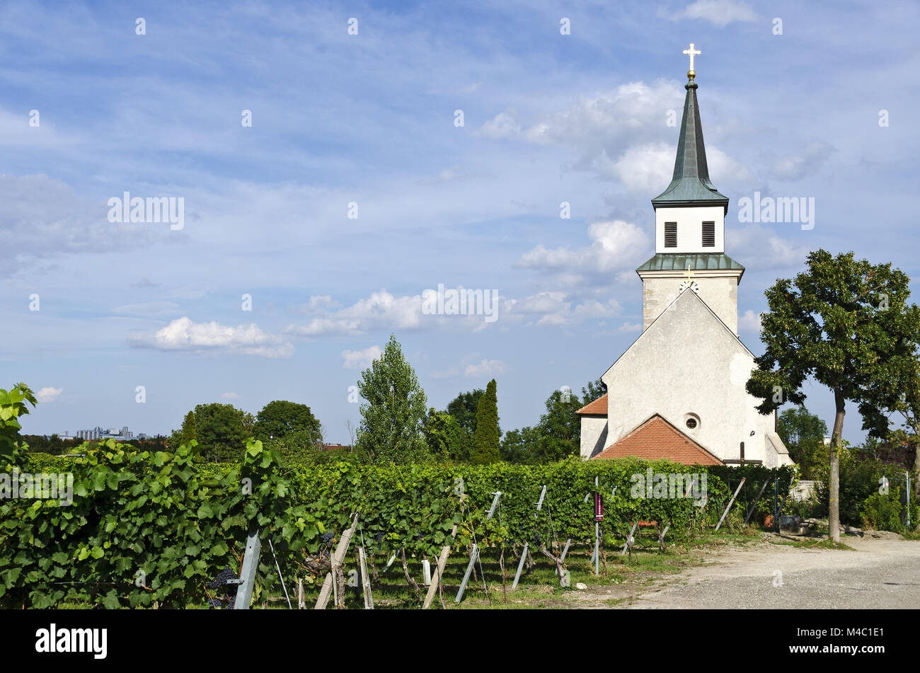 Church at a vineyard Stock Photo - Alamy