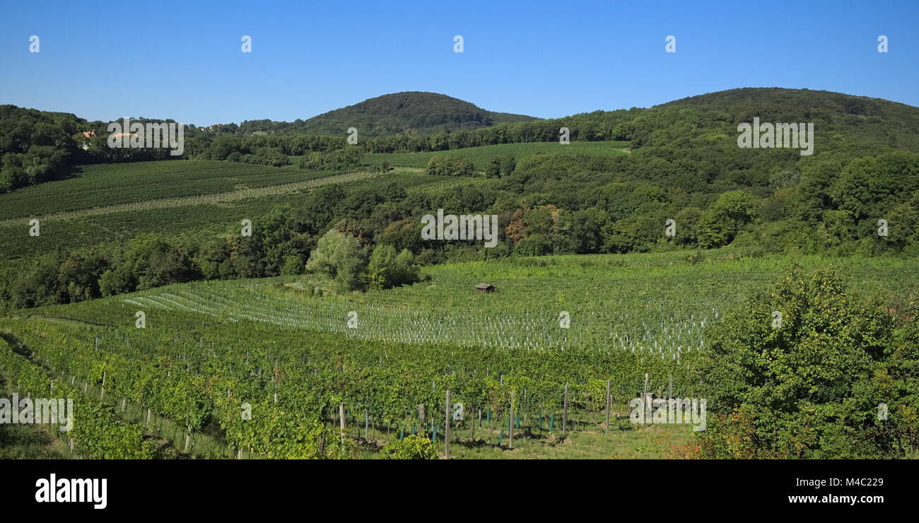 Wienerwald vienna hi-res stock photography and images - Alamy