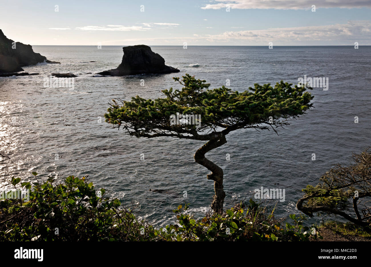 Cape flattery washington hi-res stock photography and images - Alamy