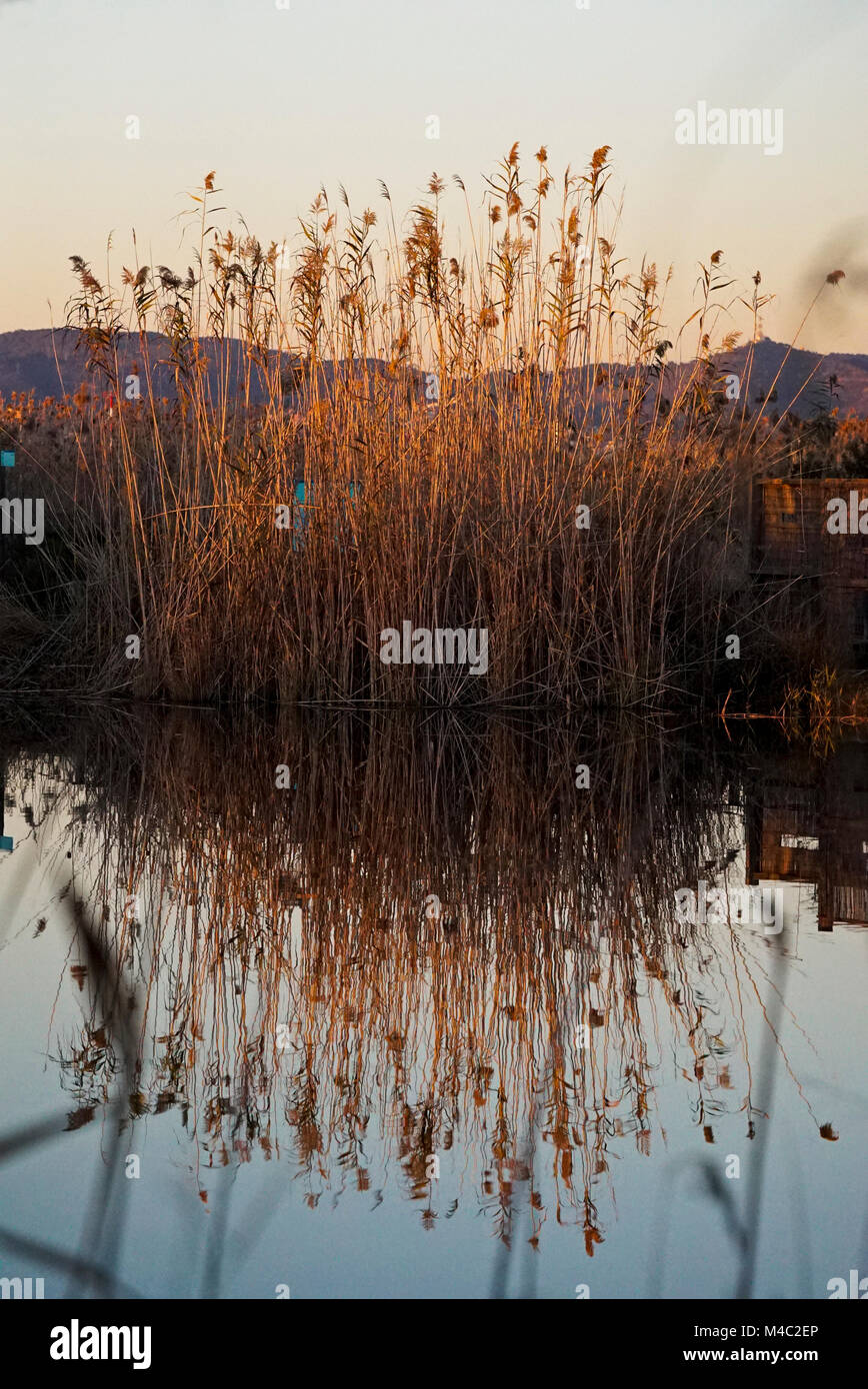 River llobregat in barcelona hi-res stock photography and images - Alamy