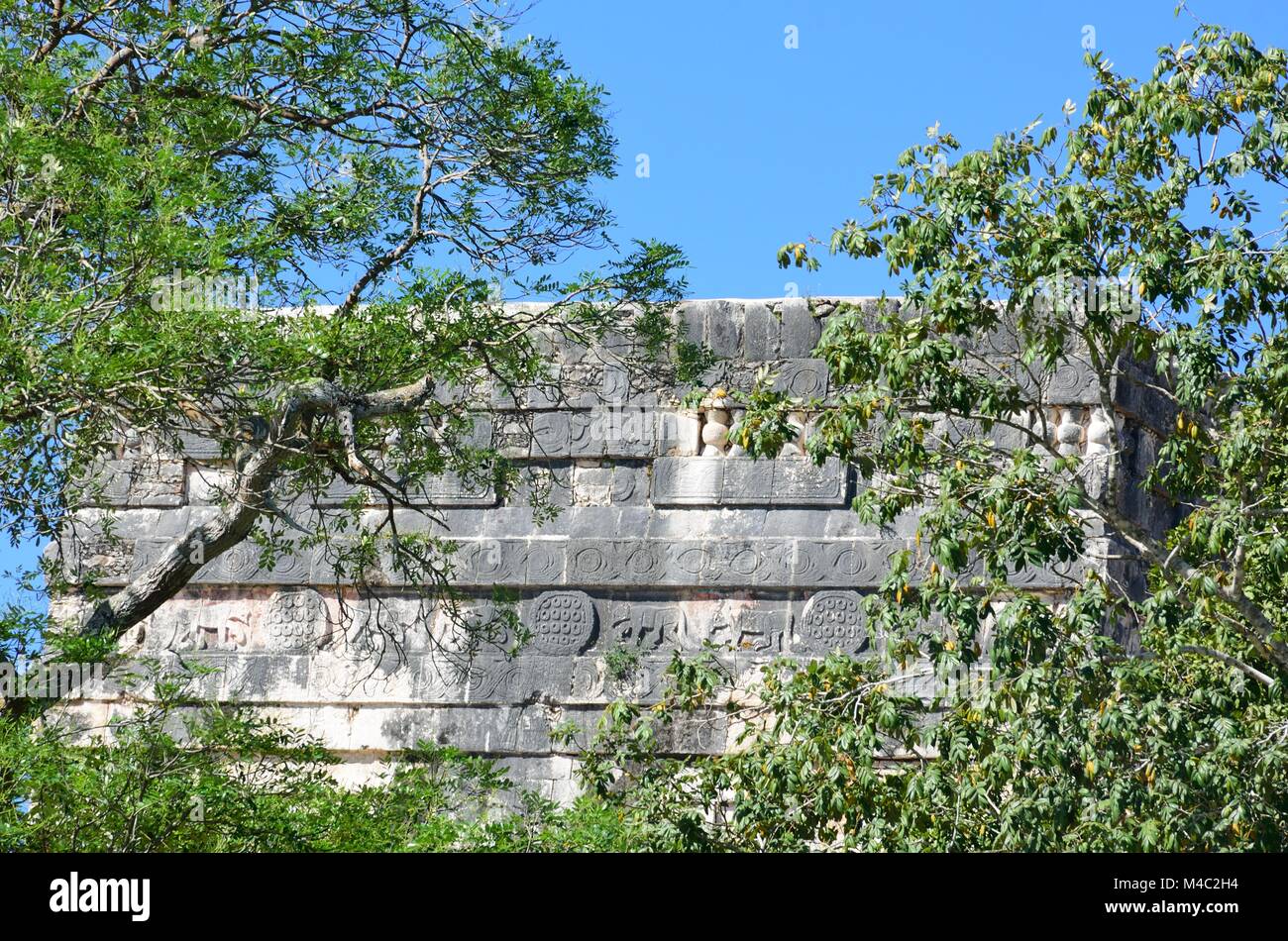 Mayan stone construction half hiddenin trees Stock Photo - Alamy