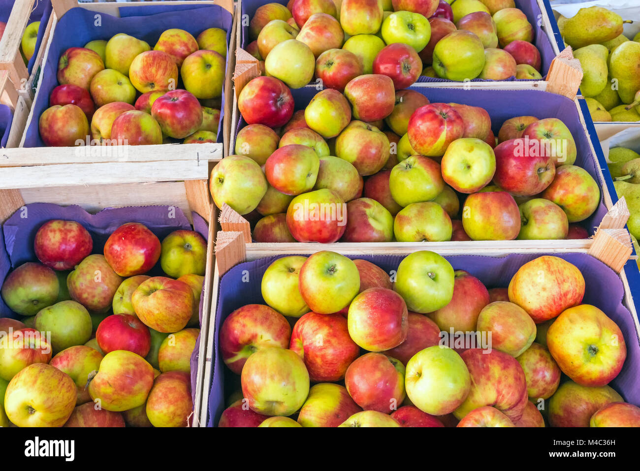 Red Elstar High Resolution Stock Photography and Images - Alamy