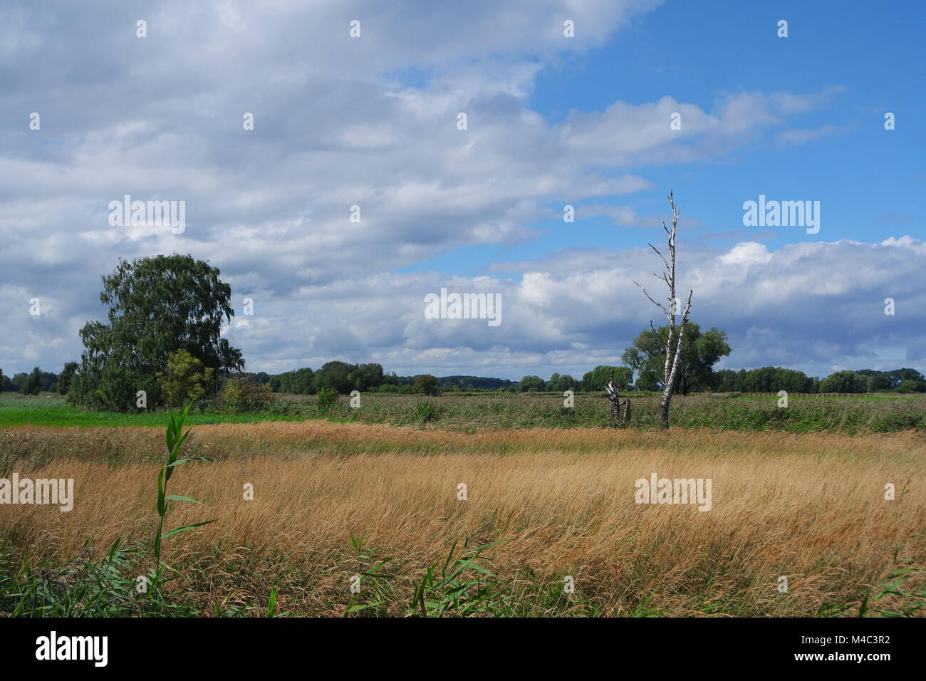 Fallow land hi-res stock photography and images - Alamy