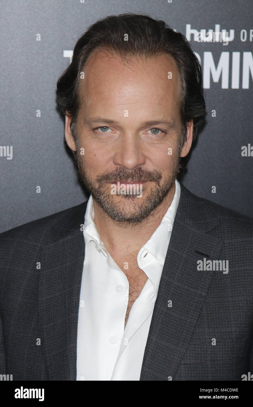 Peter sarsgaard hi-res stock photography and images - Alamy