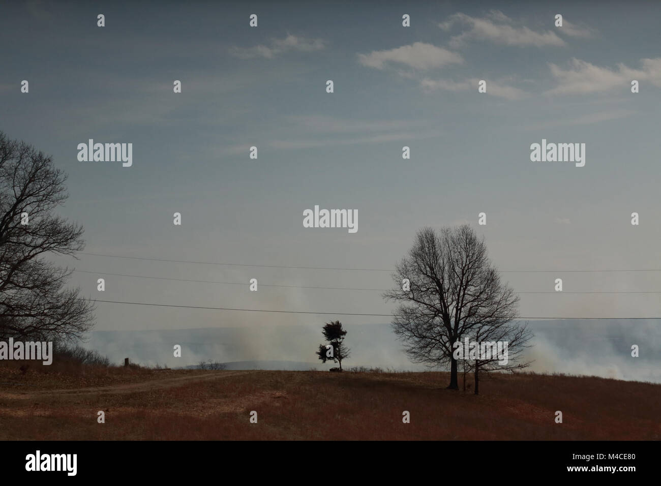 Mark twain national forest hi-res stock photography and images - Alamy