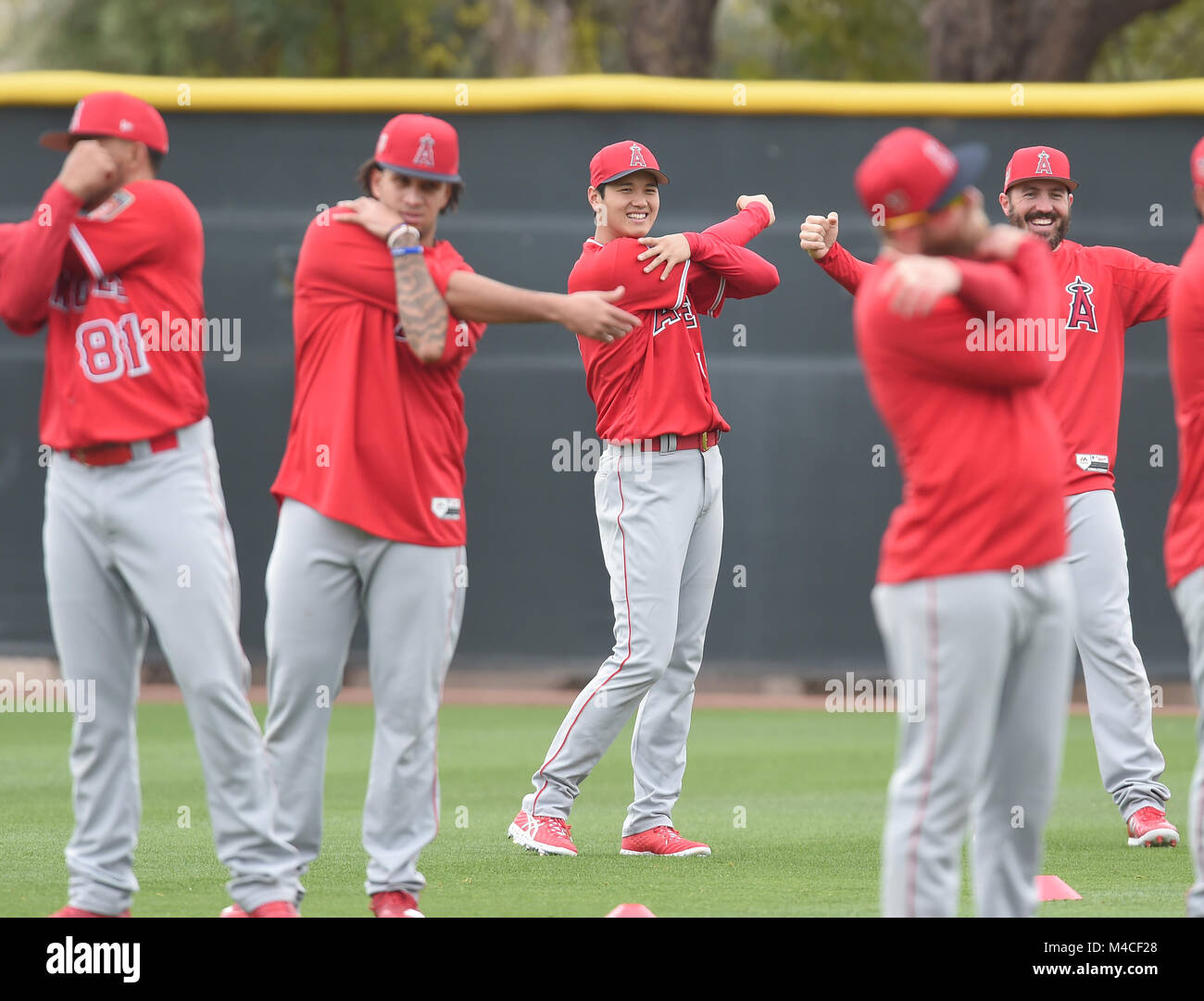 Tempe, Arizona, USA. 14th Feb, 2018. Shohei Ohtani (Angels) MLB : Los ...