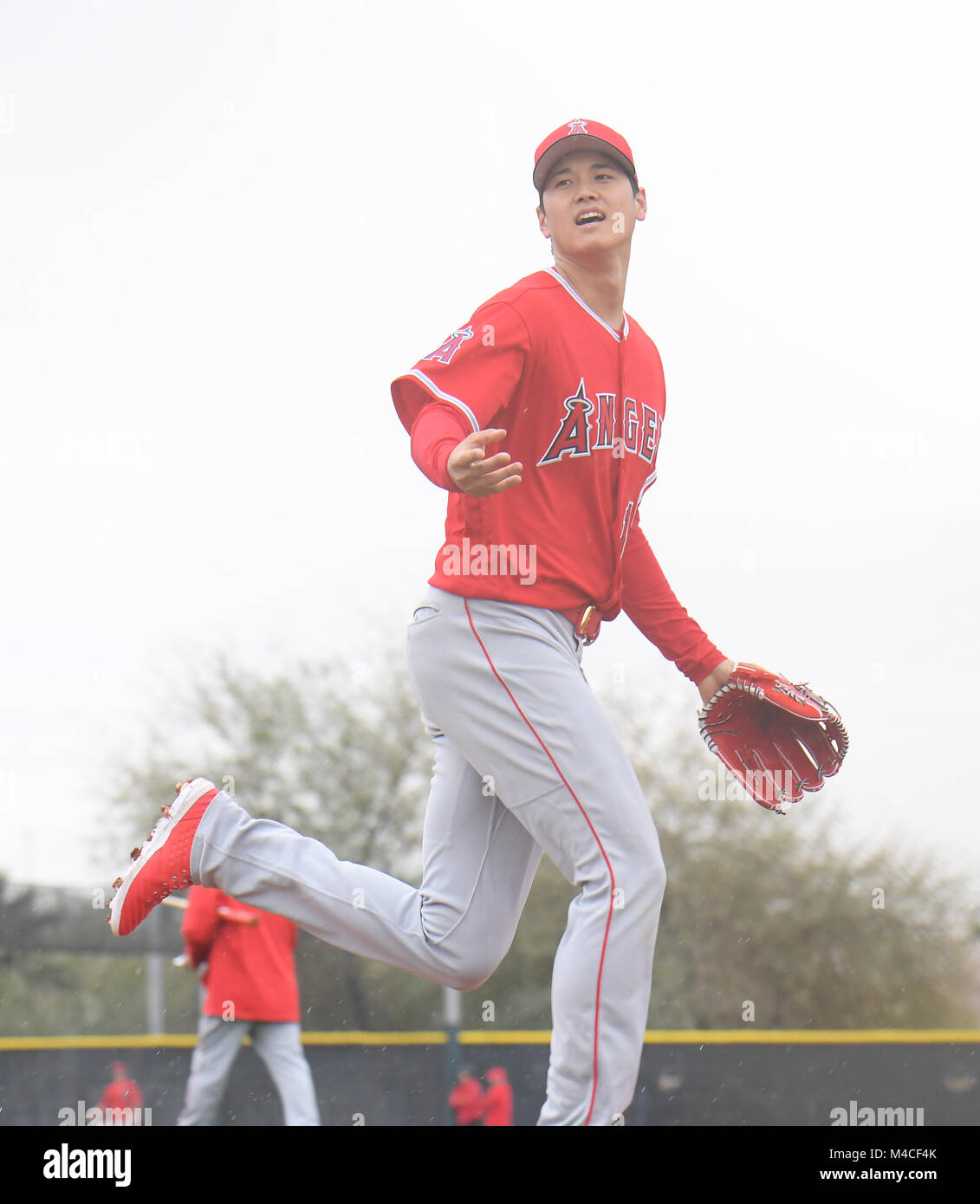 Tempe, Arizona, USA. 14th Feb, 2018. Shohei Ohtani (Angels) MLB : Los ...
