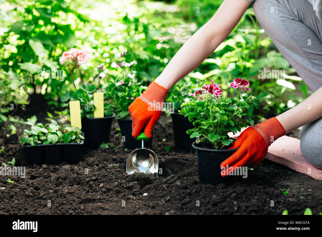Young woman holding gardening tools hi-res stock photography and images ...
