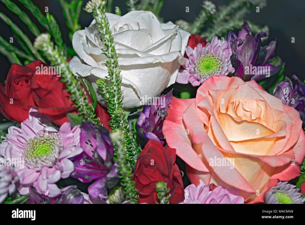 Liveplants hi-res stock photography and images - Alamy