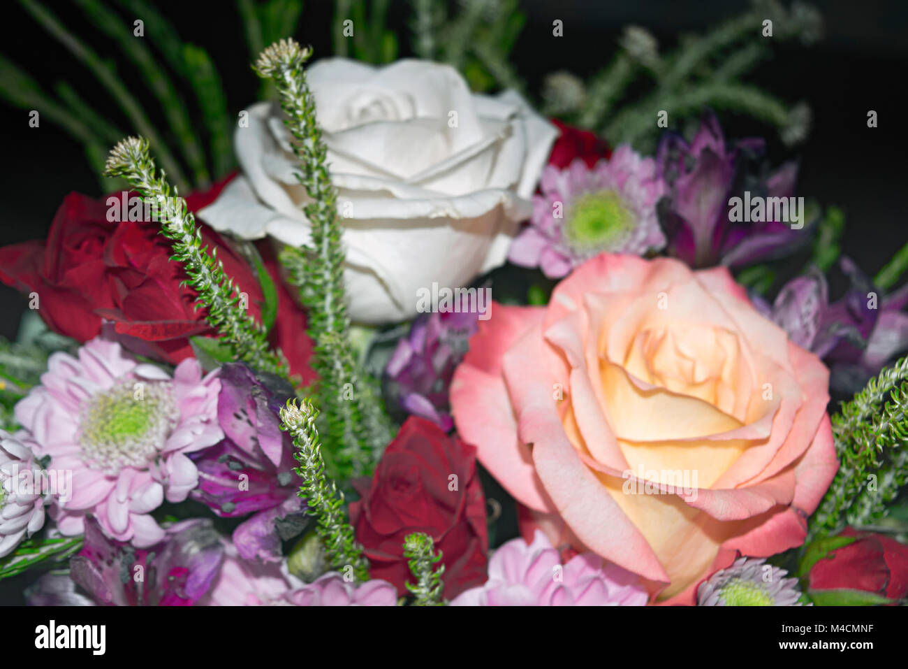 Beautifulwork hi-res stock photography and images - Alamy