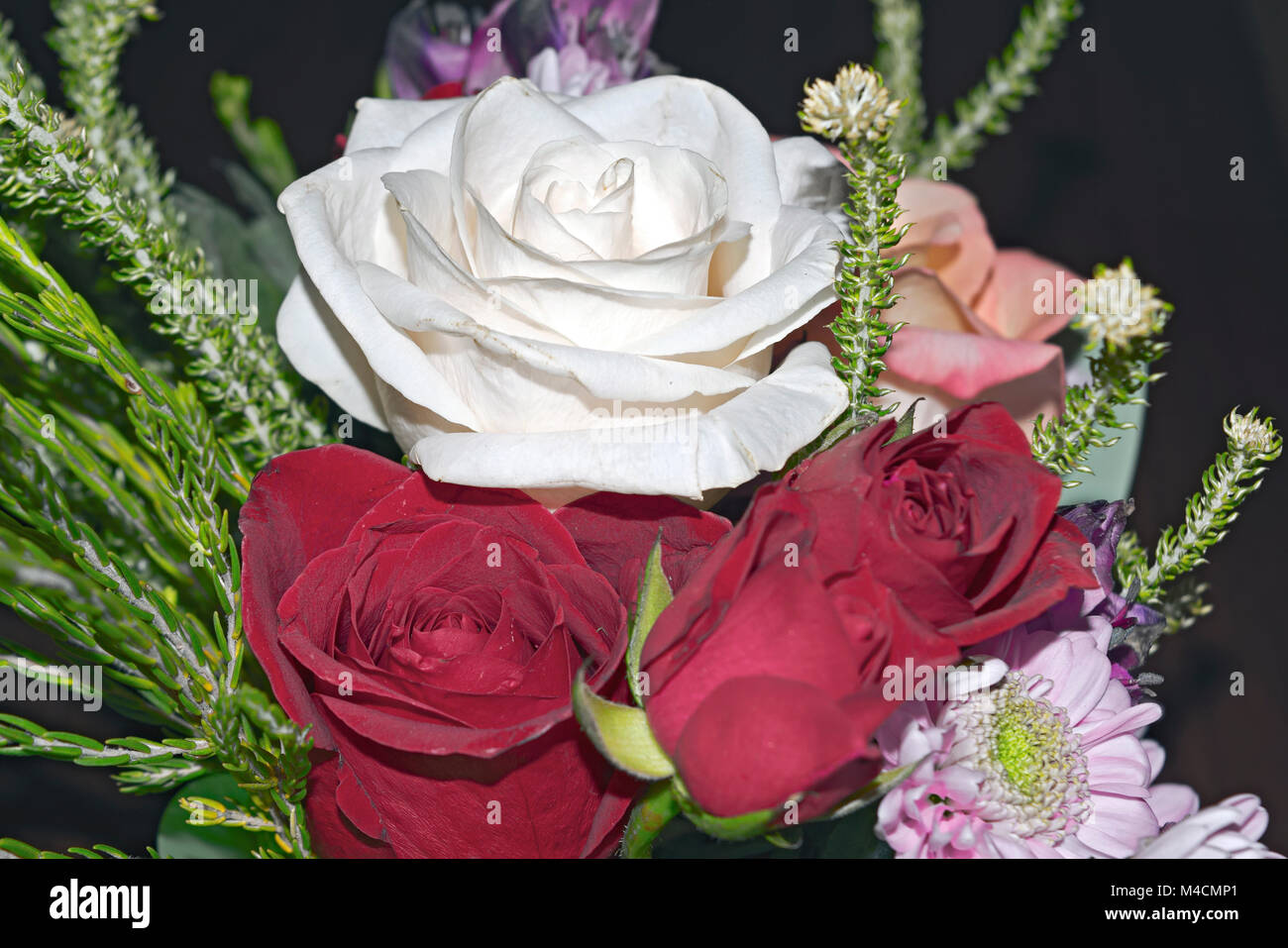 Beautifulwork hi-res stock photography and images - Alamy