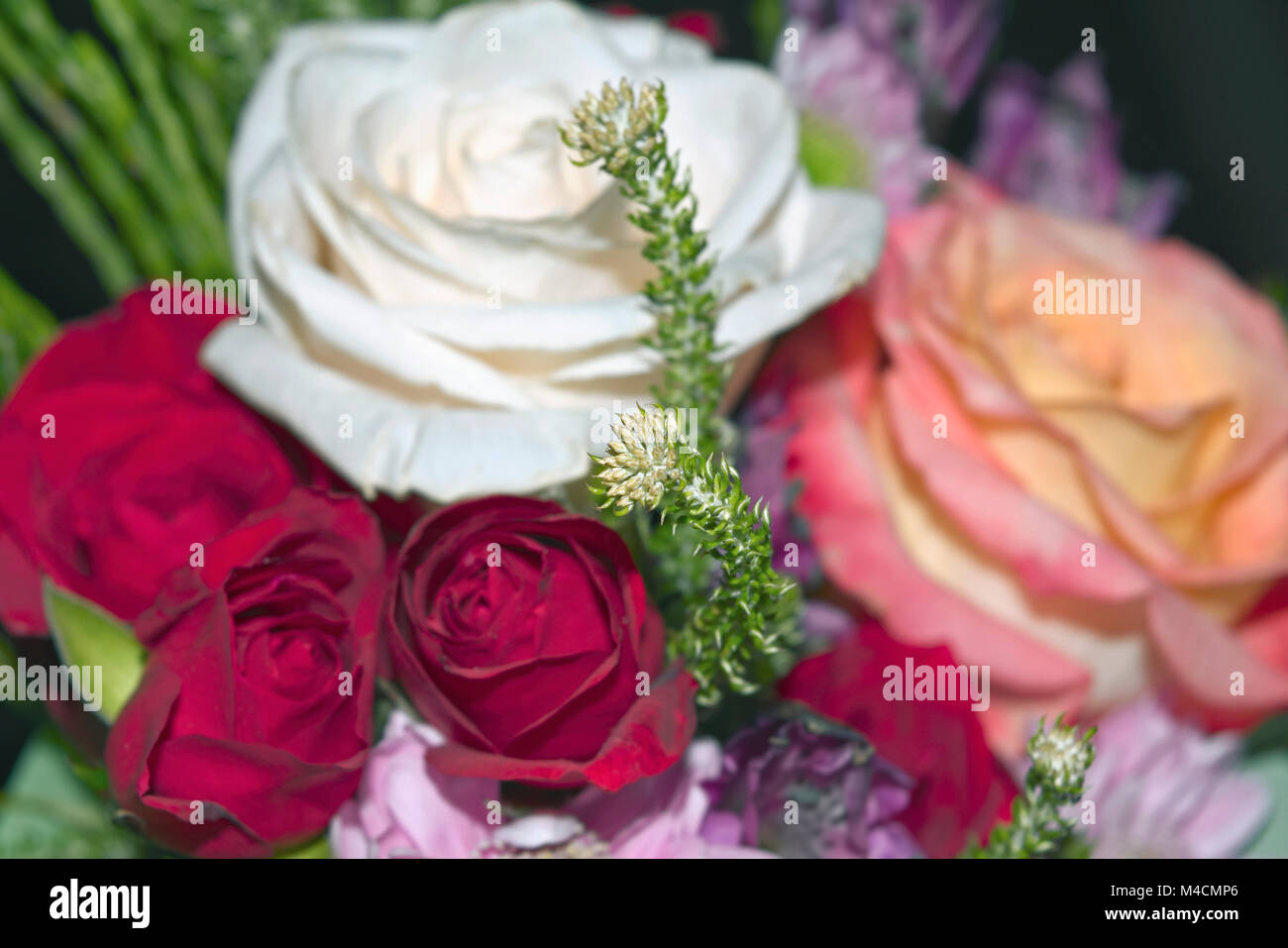 Live bouquet hi-res stock photography and images - Alamy