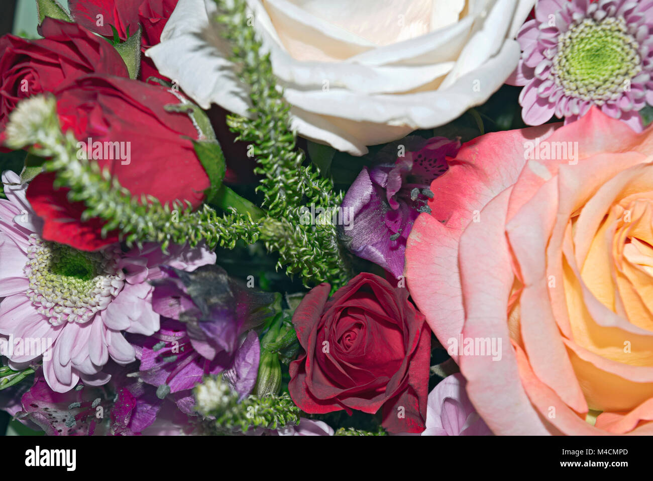 Beautifulwork hi-res stock photography and images - Alamy