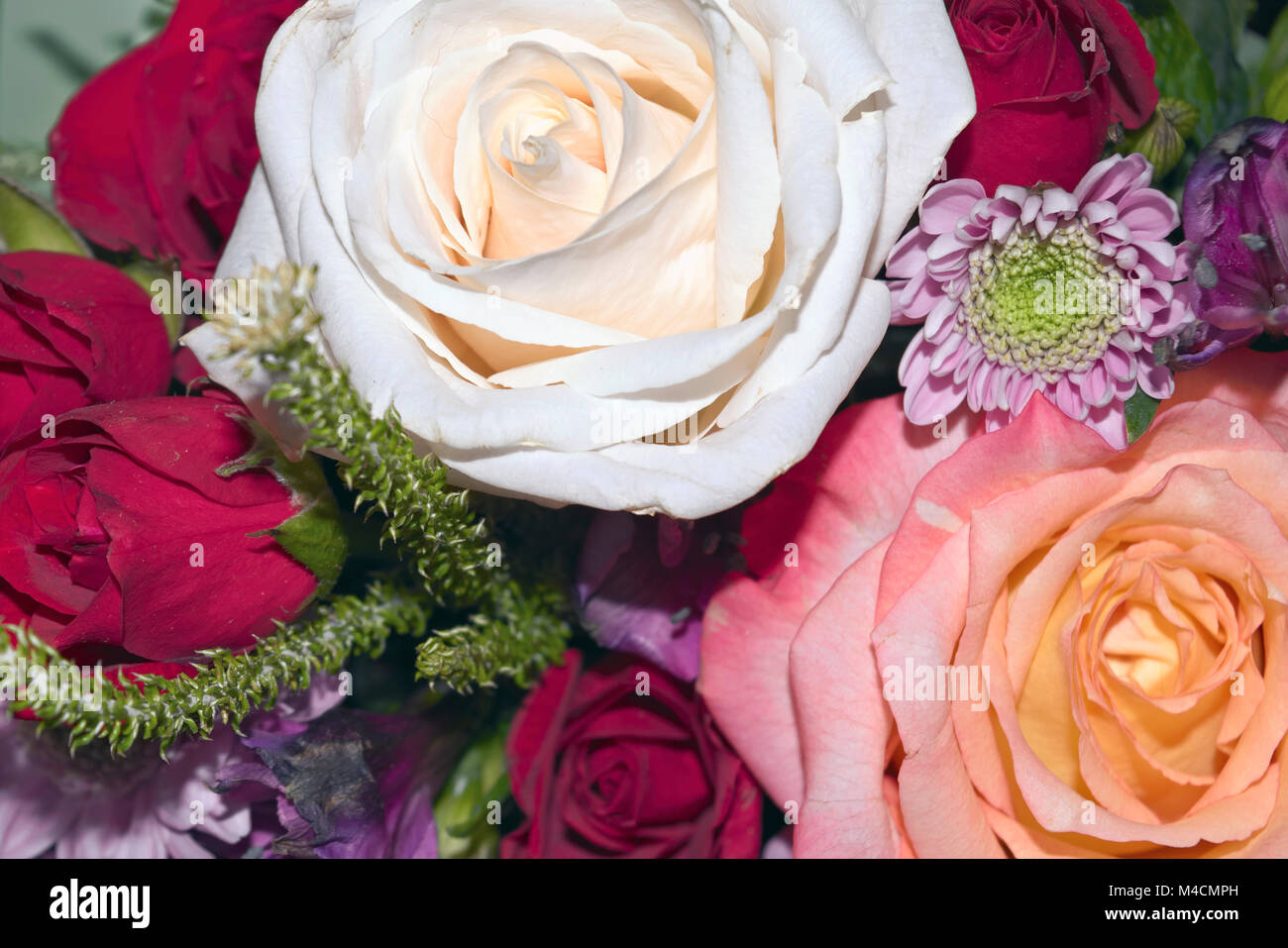 Beautifulwork hi-res stock photography and images - Alamy