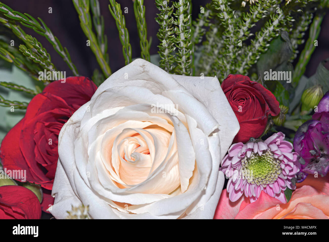 Beautiful live bouquet of mixed flowers Stock Photo - Alamy