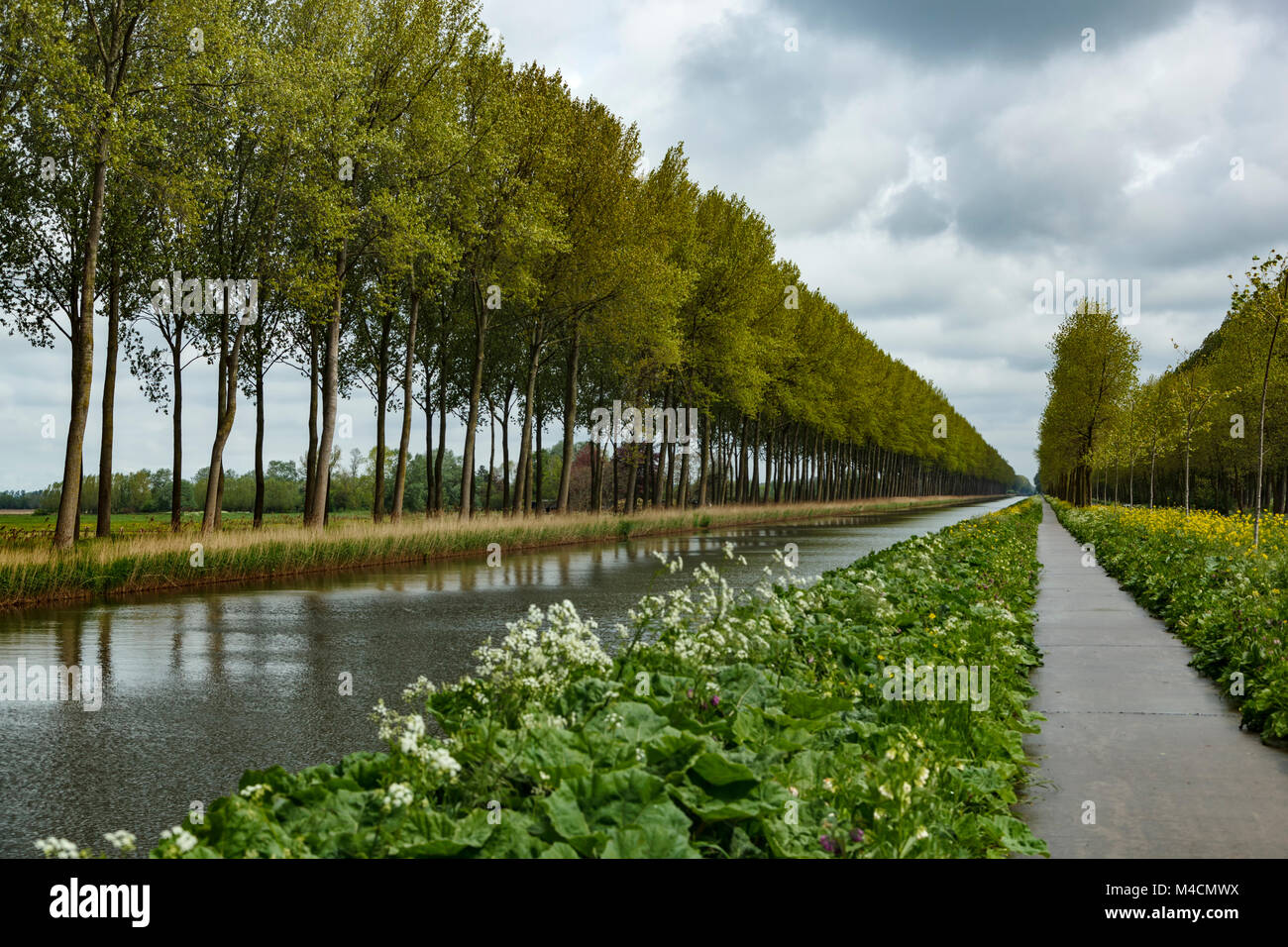 Damme Canal, Belgium Stock Photo - Alamy