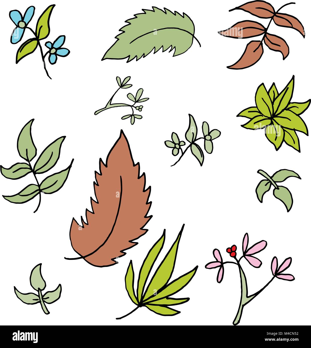 An image of a set of leaf drawings Stock Vector Image & Art - Alamy