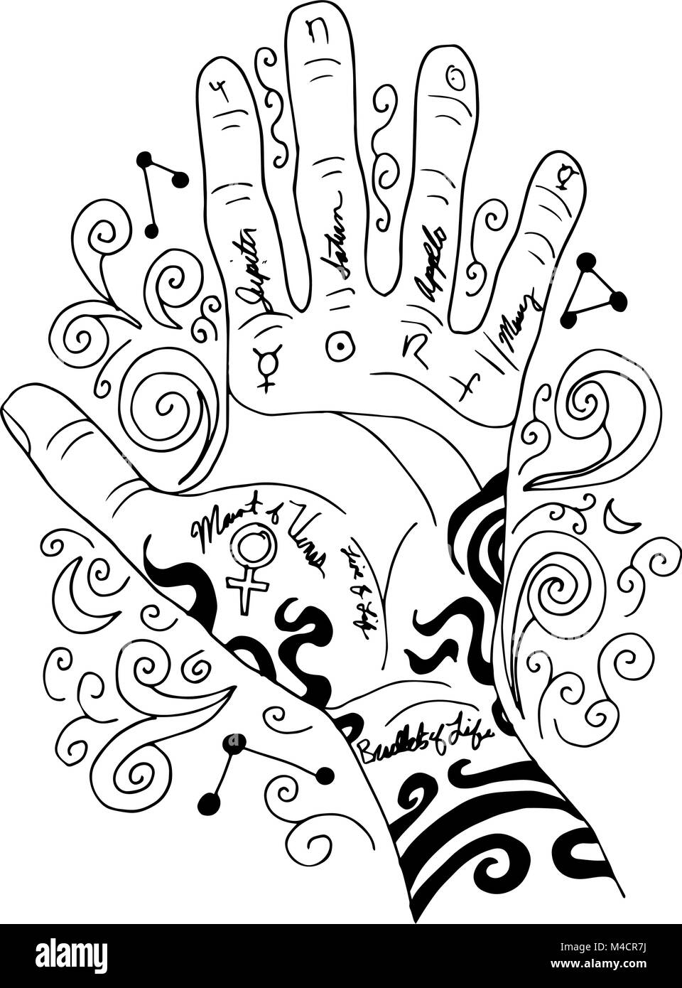 An image of a palm reading hand background Stock Vector Image & Art - Alamy