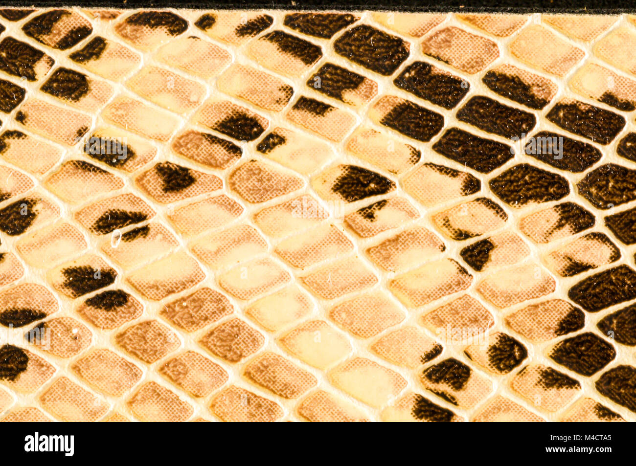 Photo of Snake skin pattern background texture Stock Photo - Alamy