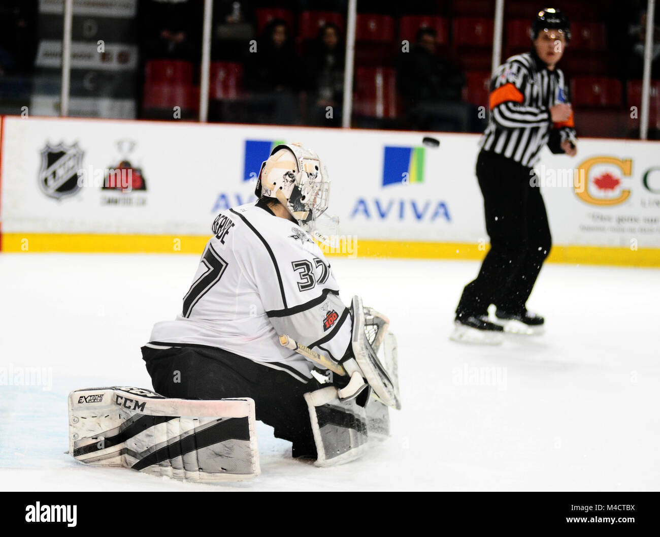 Ottawa 67s hi-res stock photography and images - Alamy