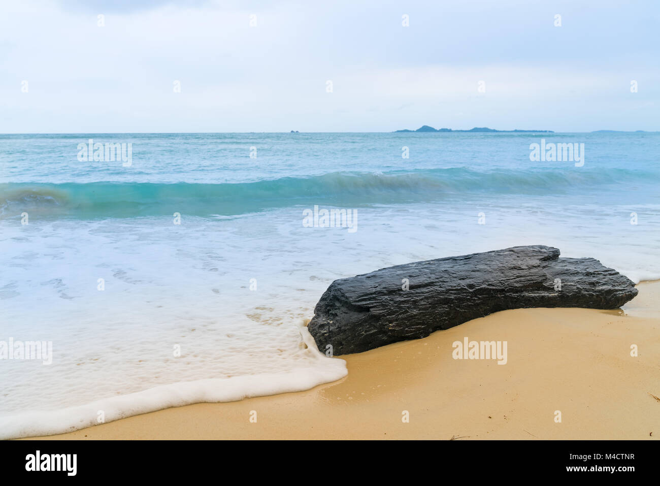 Log washed up on shore Stock Photo - Alamy