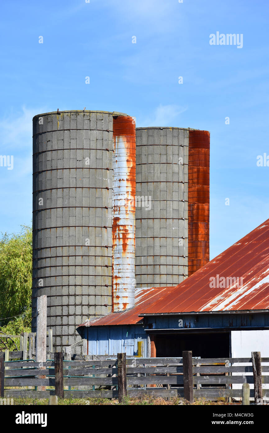 Two silos on a farm in the beautiful Pacific Northwest countryside of ...