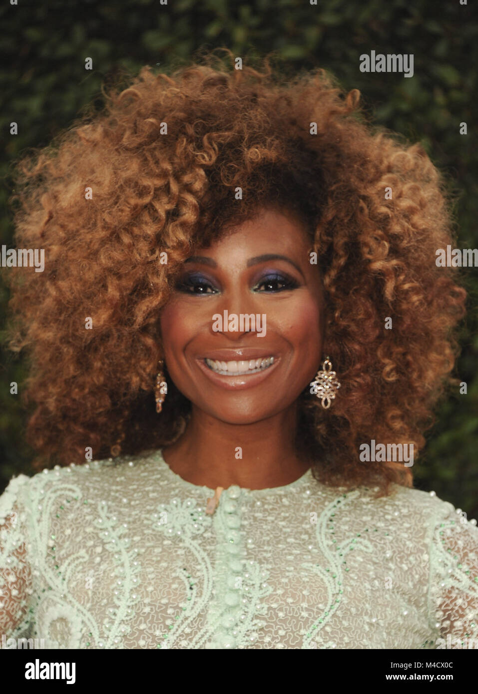 The 49th NAACP Image Awards arrivals Featuring: Tanika Ray Where: Los ...