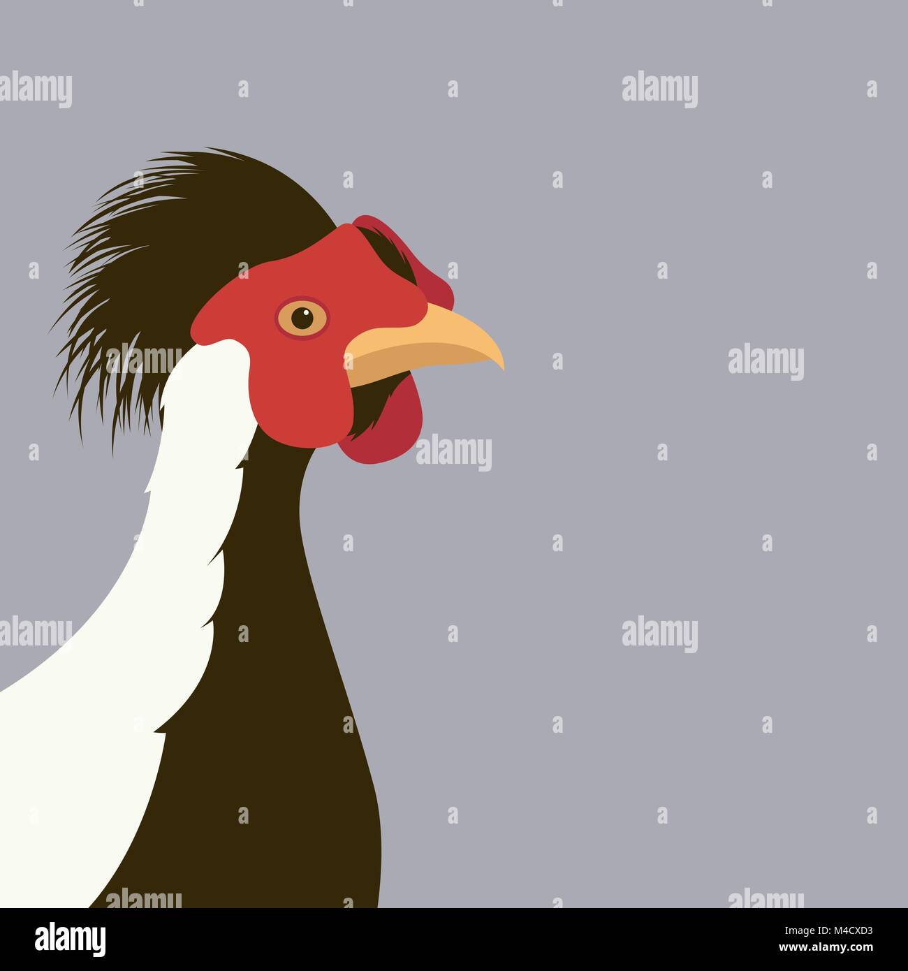 Silver Pheasant head vector illustration flat style front side Stock ...