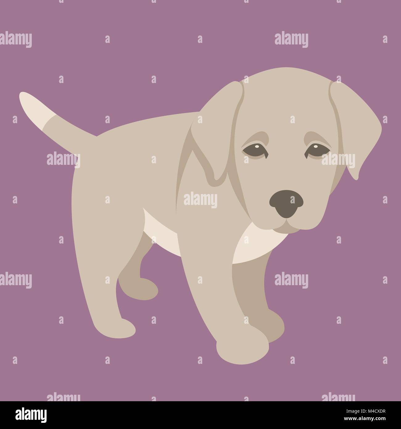 Cute little golden terrier Stock Vector Images - Alamy