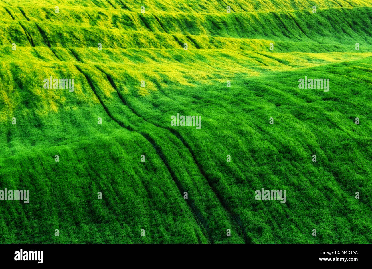 Picturesque rural farmland scene country hi-res stock photography and ...