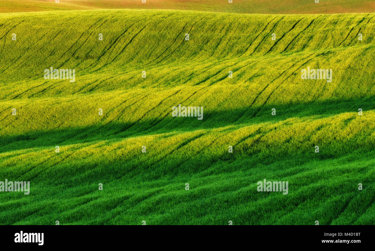hilly field. picturesque patterns of the abstract field Stock Photo - Alamy