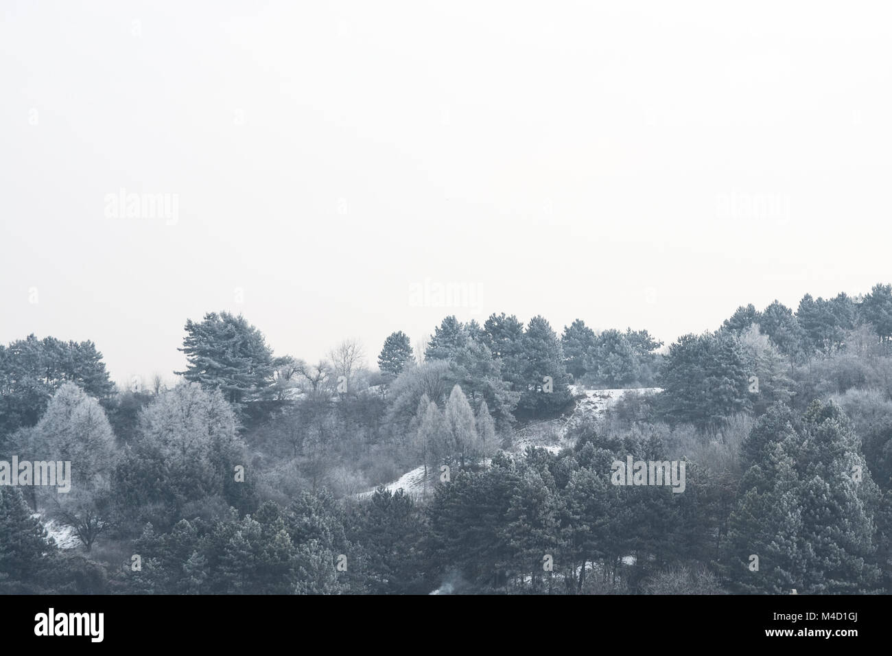 Blue frozen morning hi-res stock photography and images - Alamy