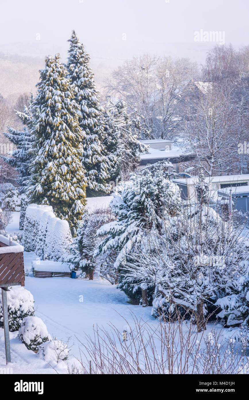 Winter garden with snow Stock Photo - Alamy