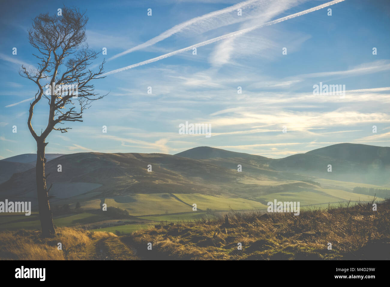 Windswept landscape hi-res stock photography and images - Alamy