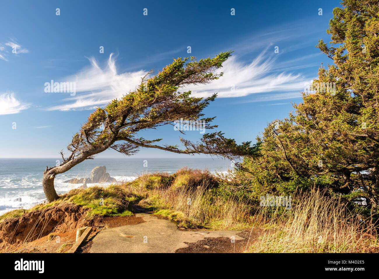 USA Pacific coast landscape, Oregon Stock Photo - Alamy