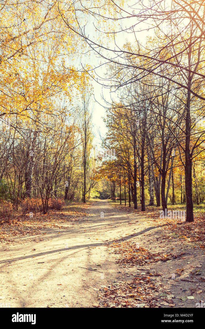 Fall sunny hi-res stock photography and images - Alamy