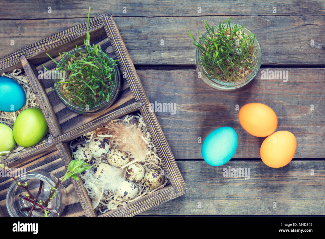 Colorful chicken eggs quail eggs germinated wheat Stock Photo - Alamy