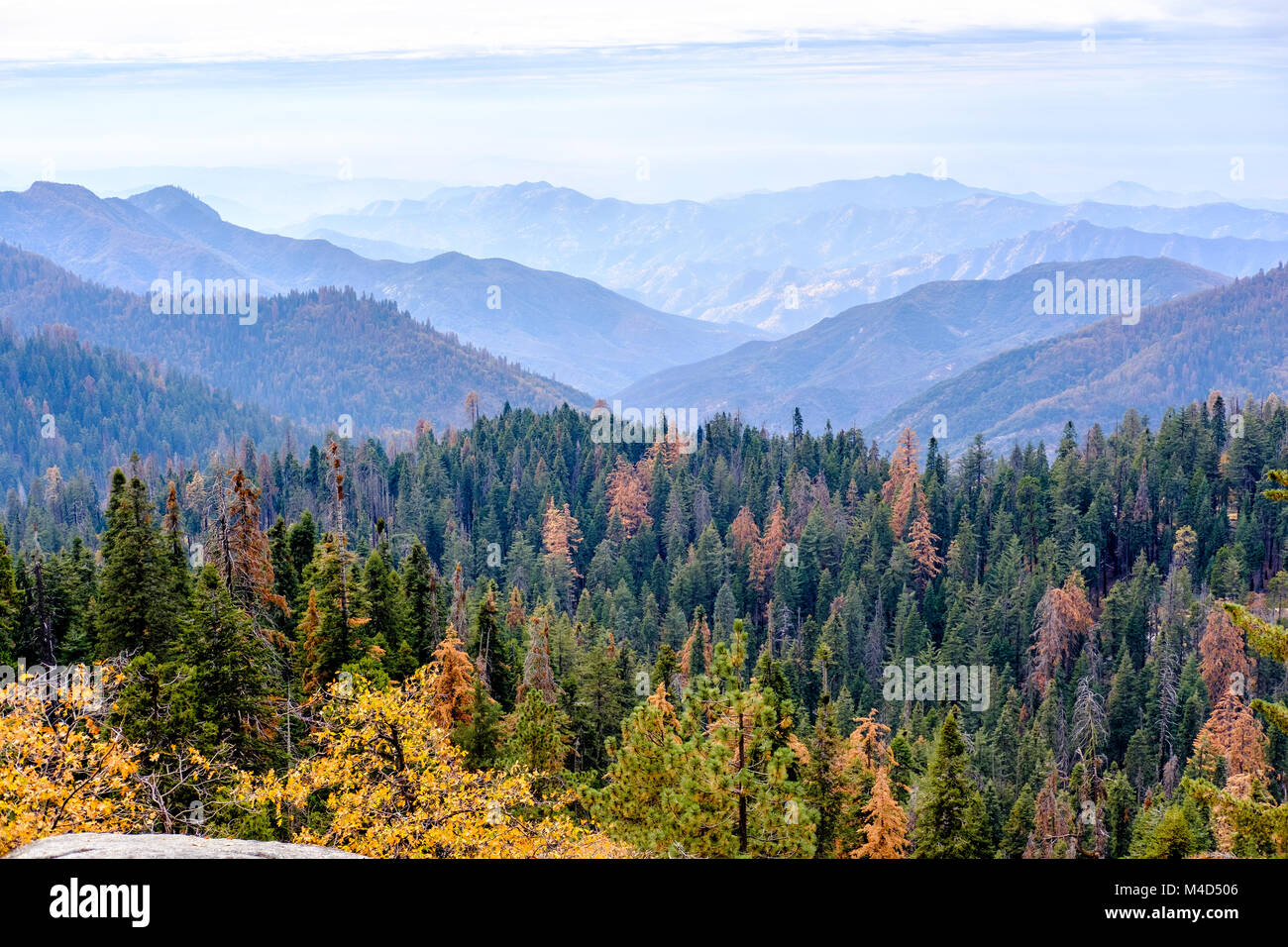 Sequoia National Park mountain landscape at autumn Stock Photo - Alamy